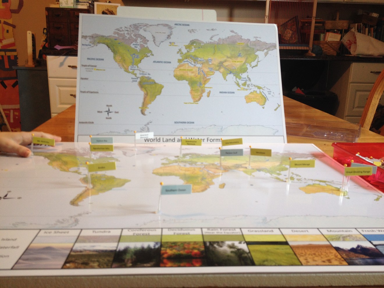 Pin it! Maps—Hands on Geography for Everyone!