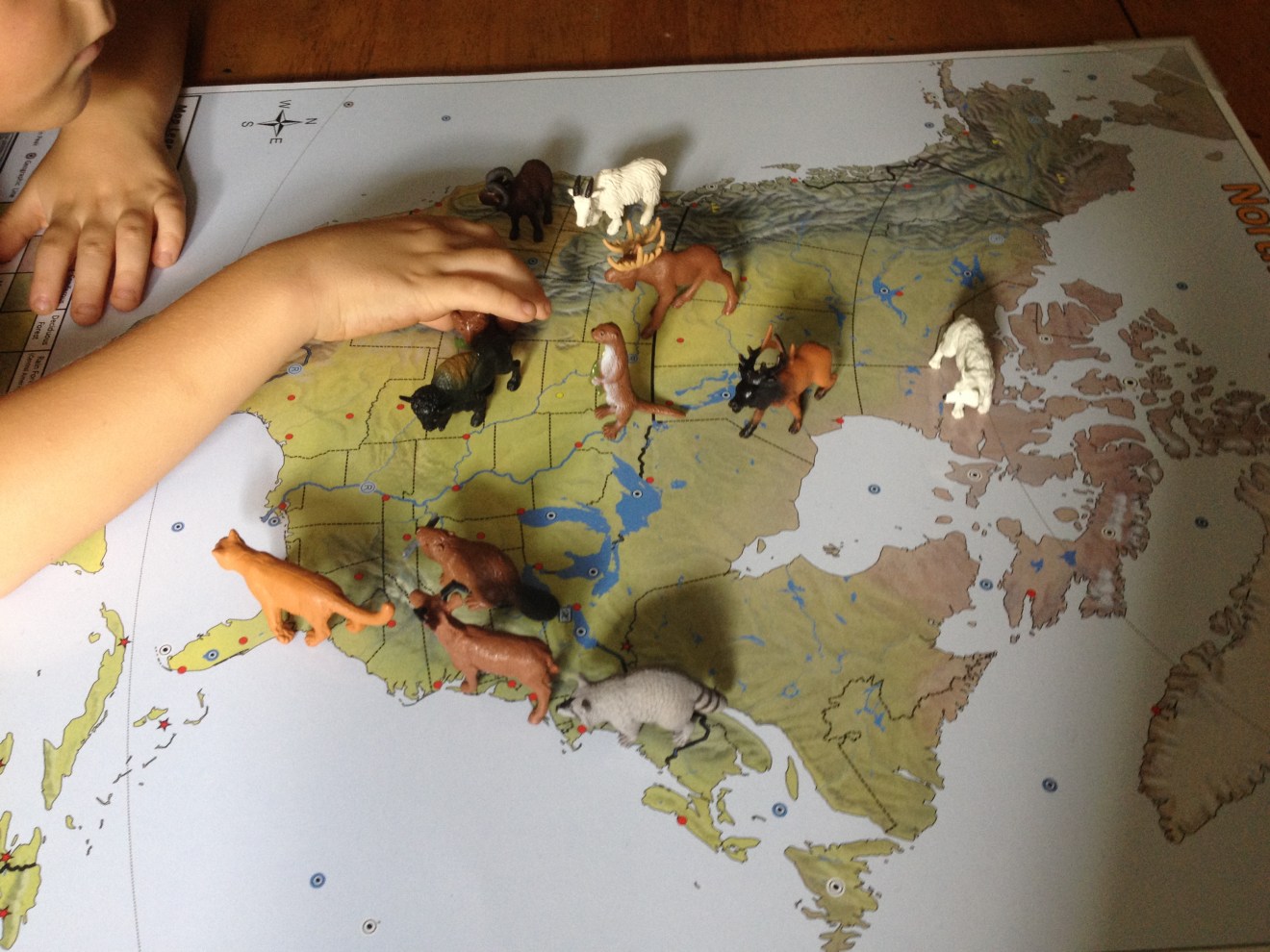 Pin it! Maps—Geography lessons in action!