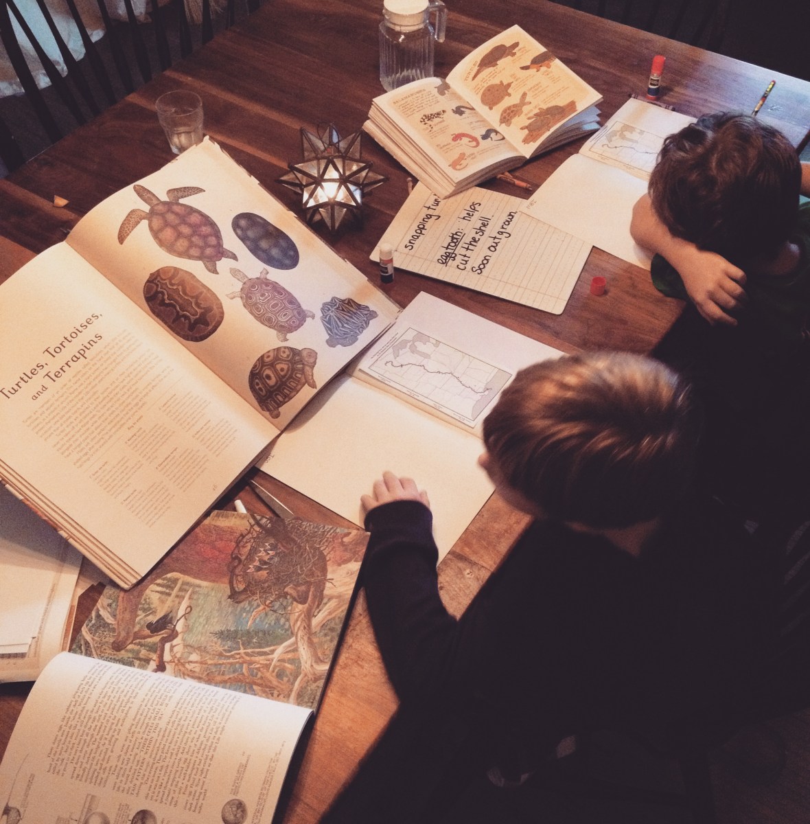 MFW Adventures: Gold Rush & Geography Study