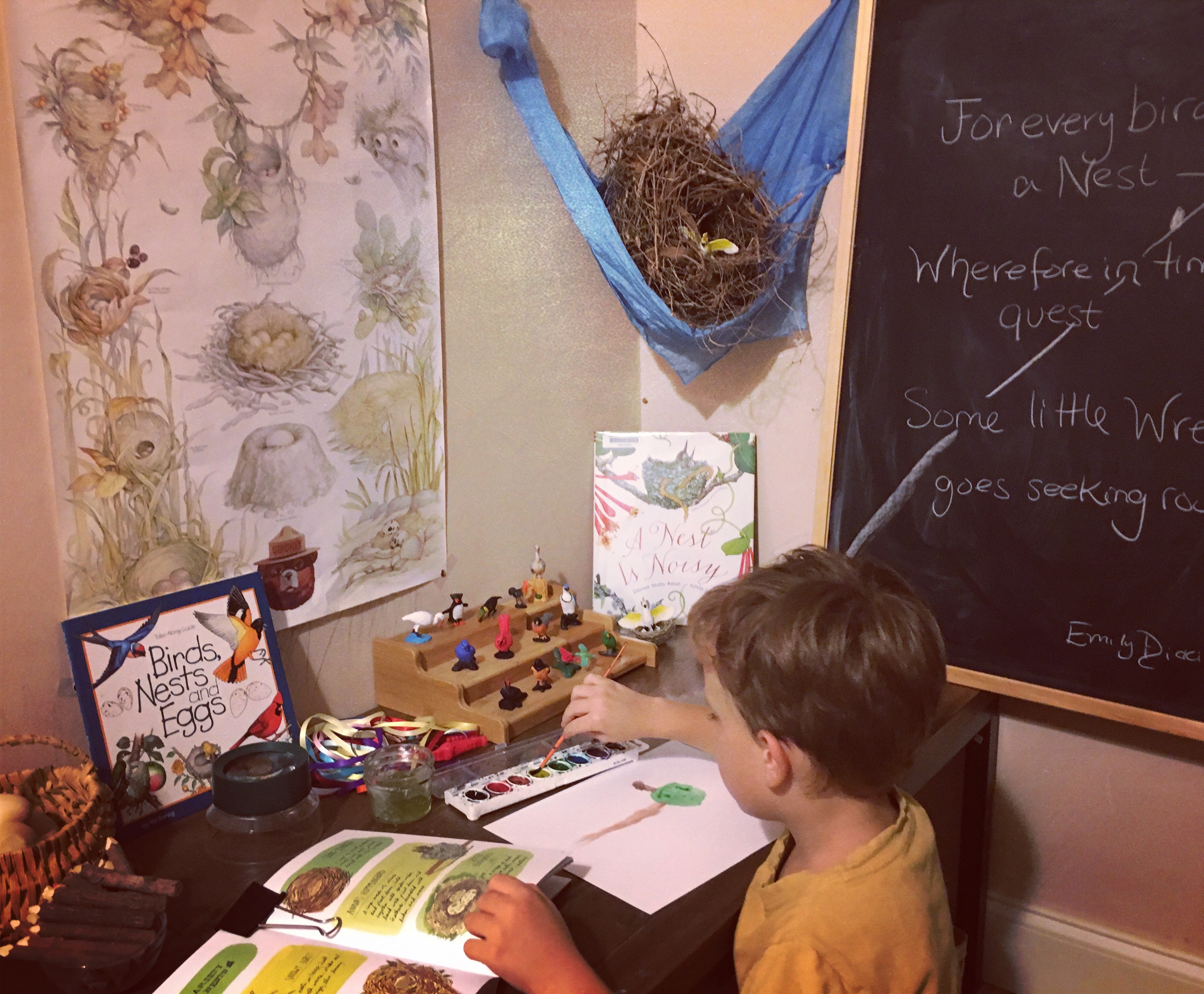 MFW Kindergarten: Nest