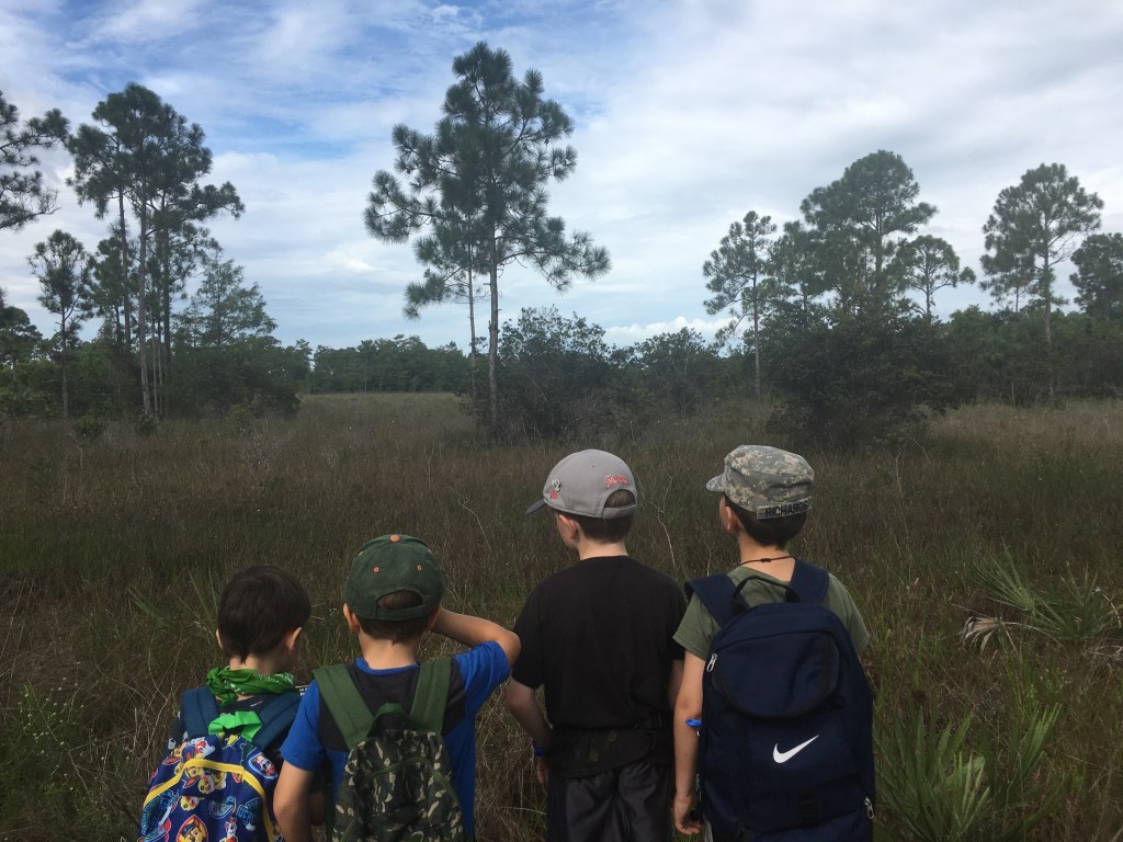 nature walk