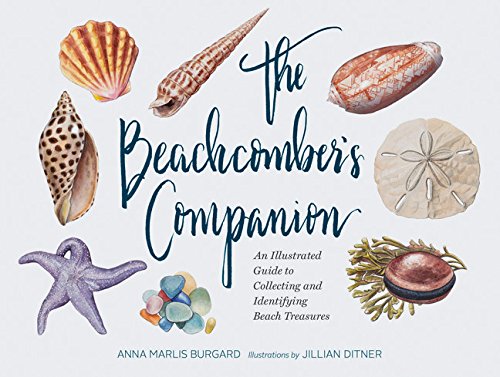 Picture Book List: Beaches and Oceans